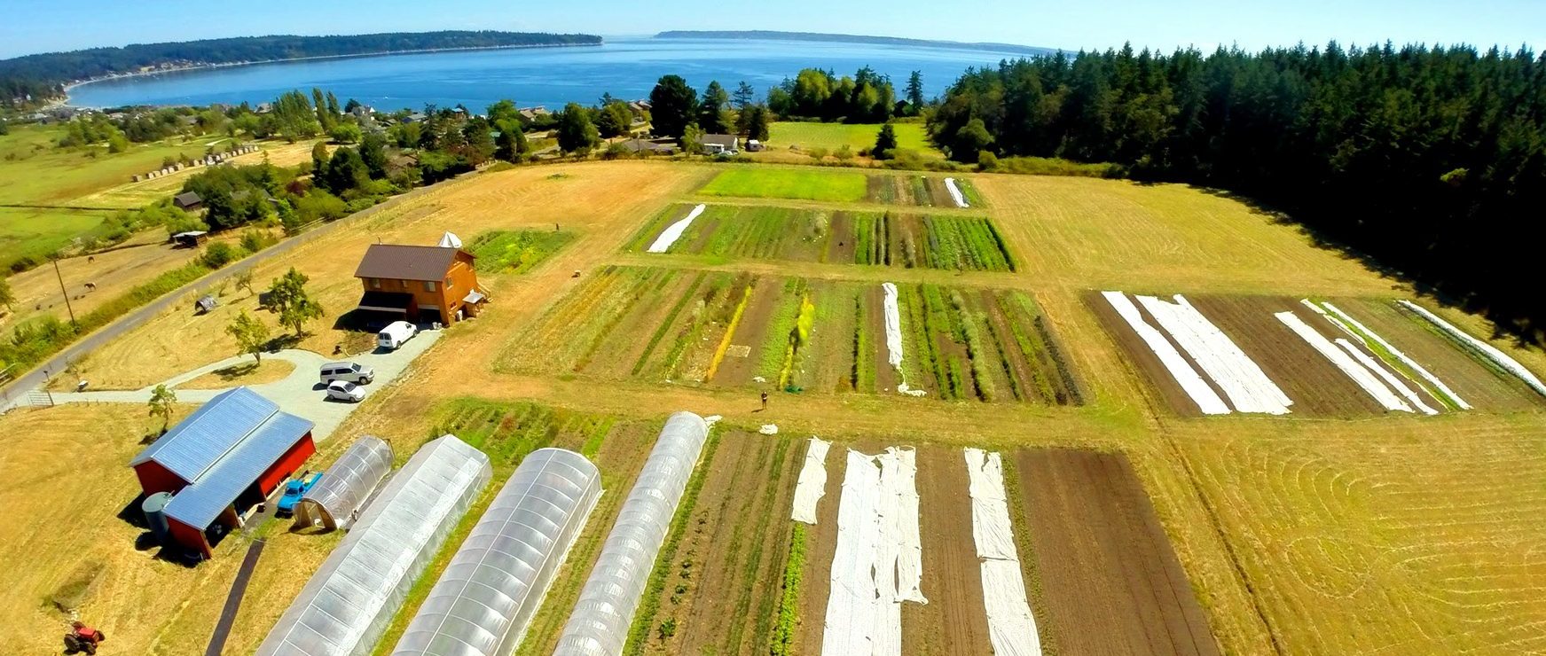 Deep Harvest Farm - Goosefoot
