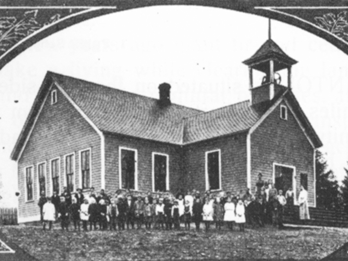 Bayview School - Goosefoot